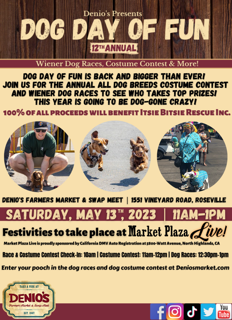 Dog Day of Fun 2023 - Denios Market