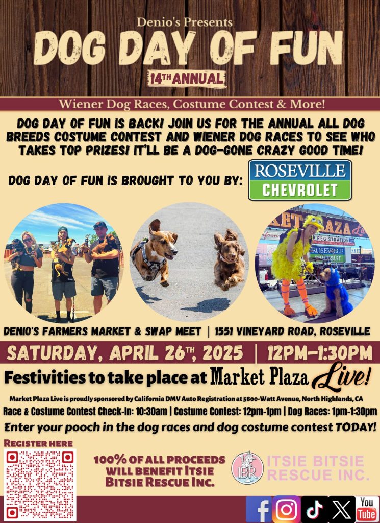 Dog Day of Fun 2025 - Denios Market